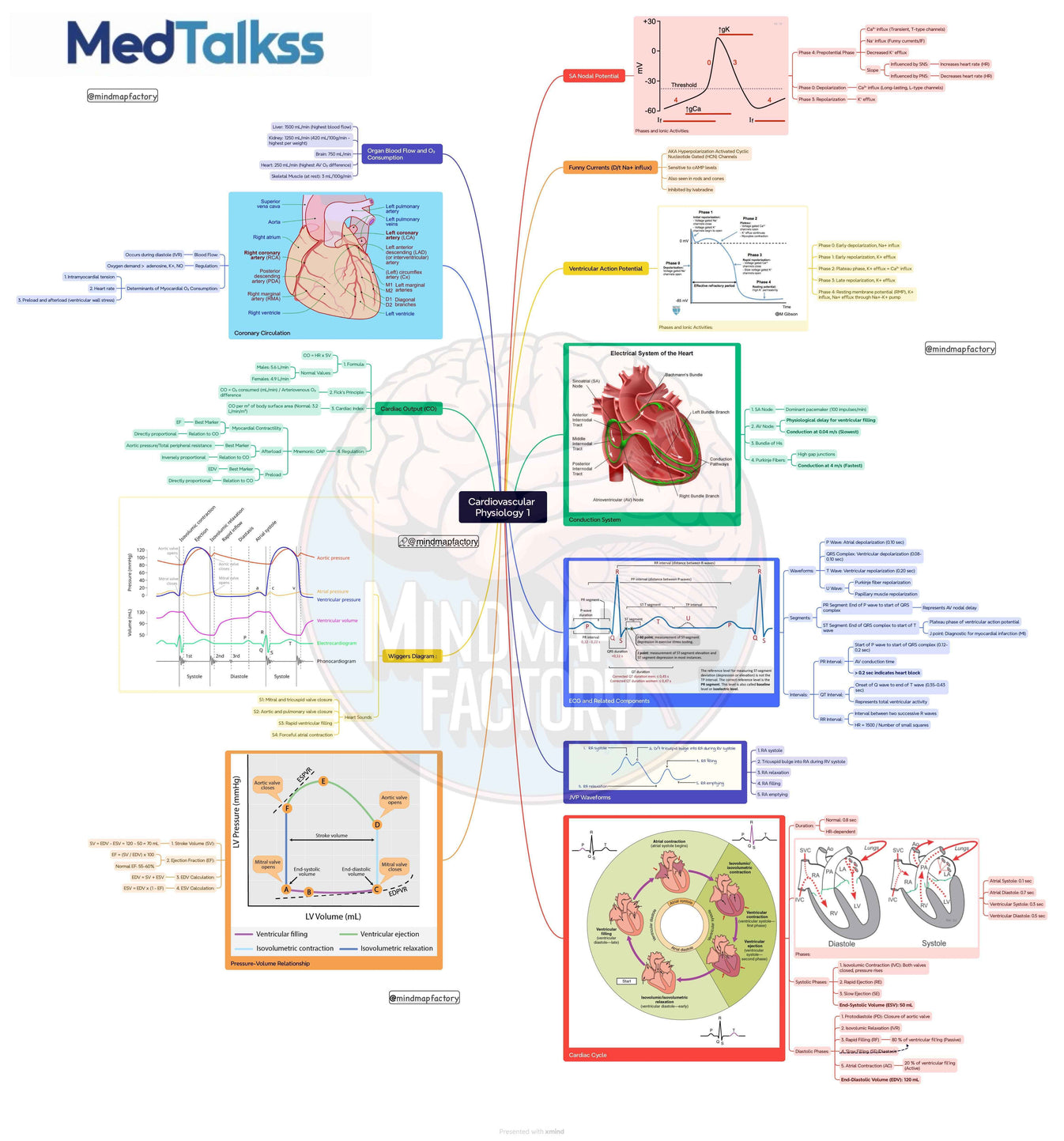 Mastermaps Integrated Medicine - Comprehensive Healing – Mindmap Factory
