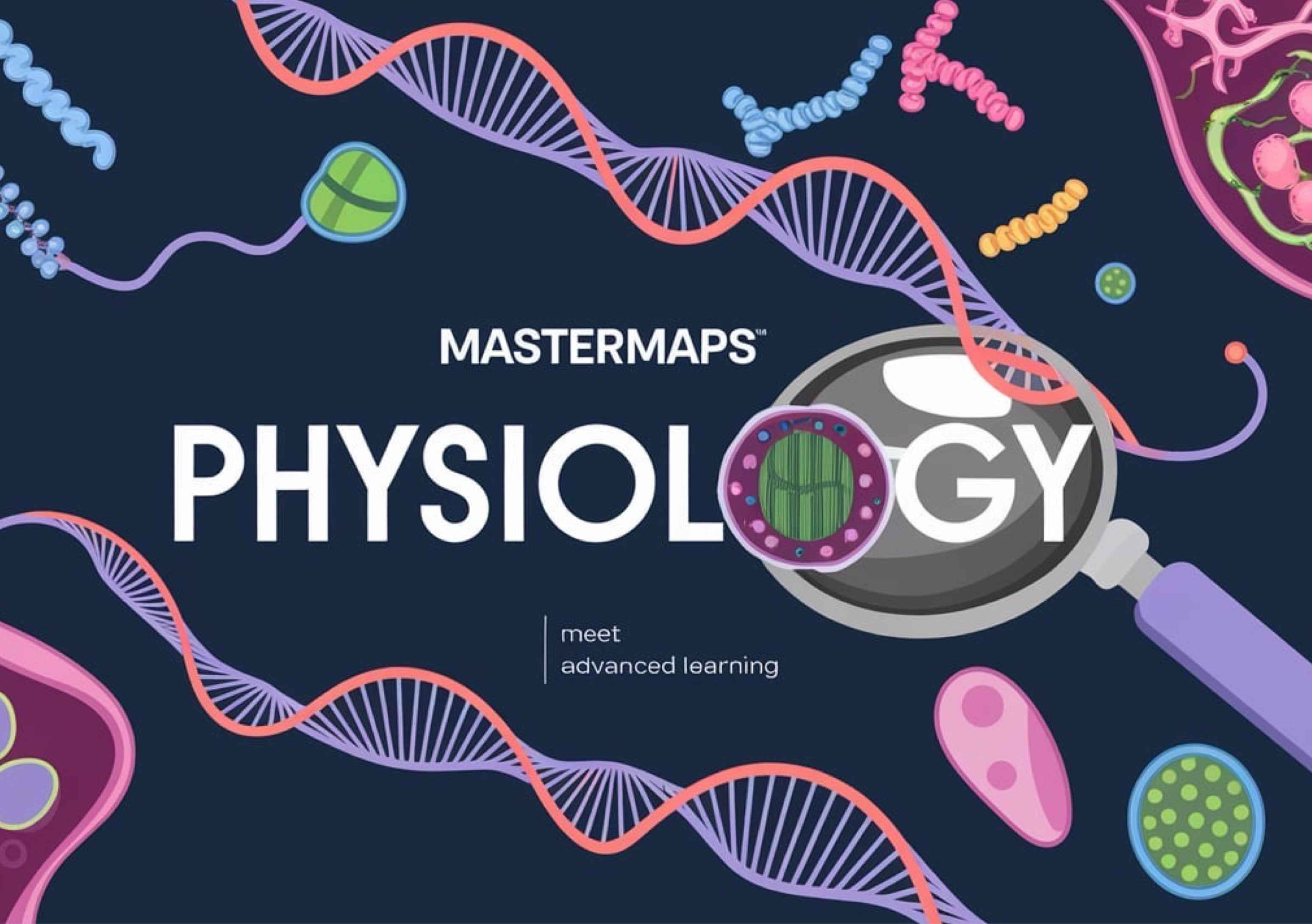 Mastermaps Physiology – Mindmap Factory